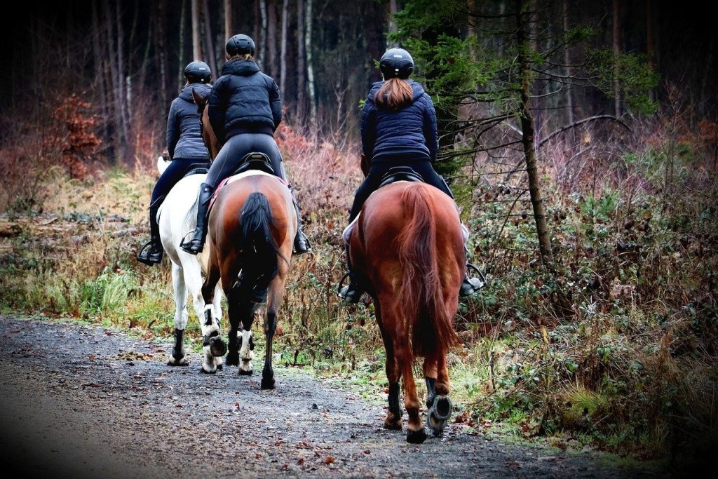 Quel équipement faut-il pour monter à cheval ? – maximumkouette